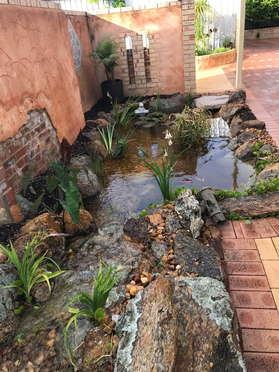 Pond Renovation & Upgrades - Suitz Landscaping, Ponds and Water Features