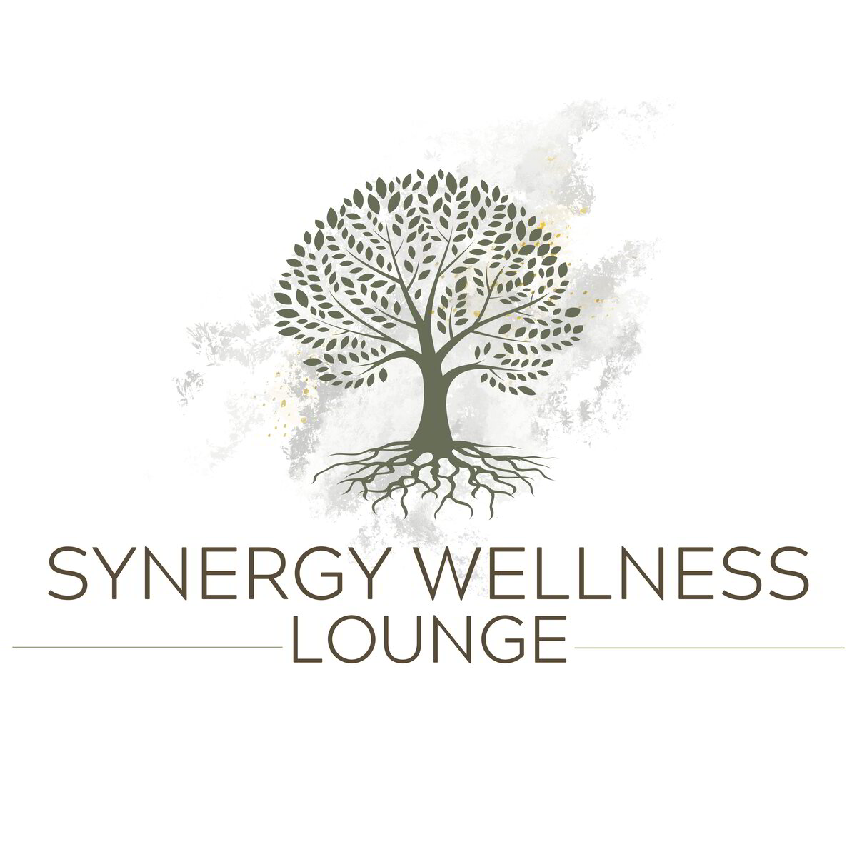 About Synergy Wellness Lounge | IV Therapy & Wellness Infusions
