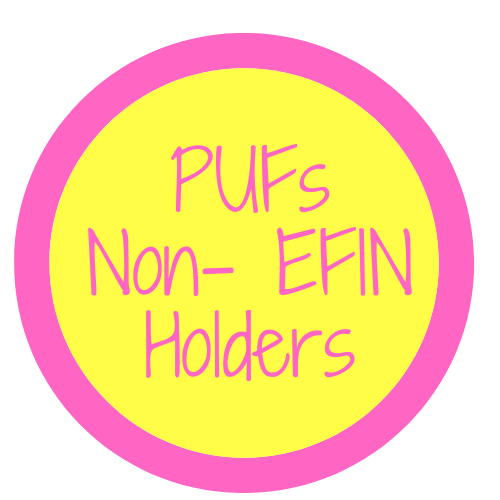 PUFs for Non-EFIN Holders