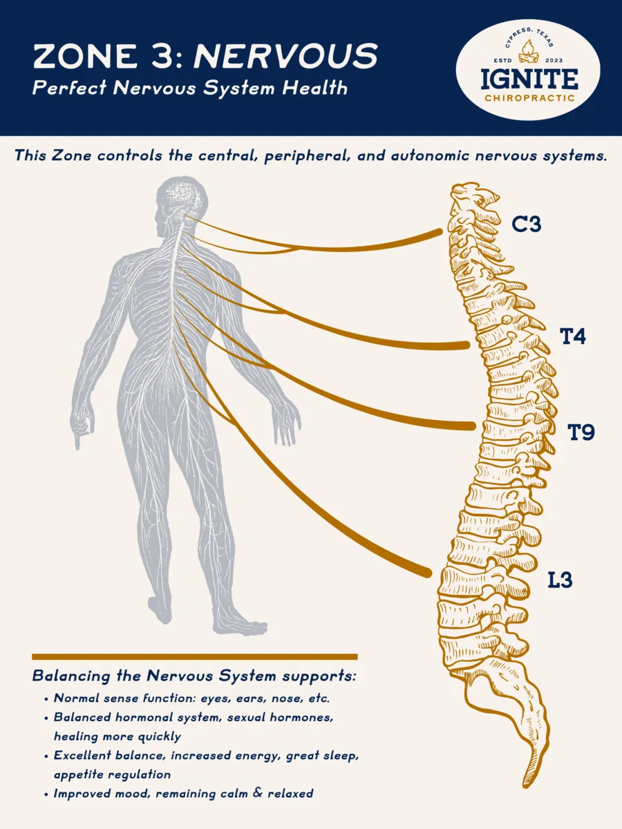 The Zone Technique | Cypress, TX Chiropractor | Ignite Chiropractic
