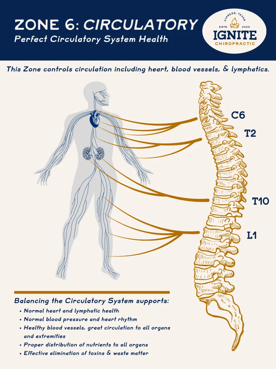 The Zone Technique | Cypress, TX Chiropractor | Ignite Chiropractic