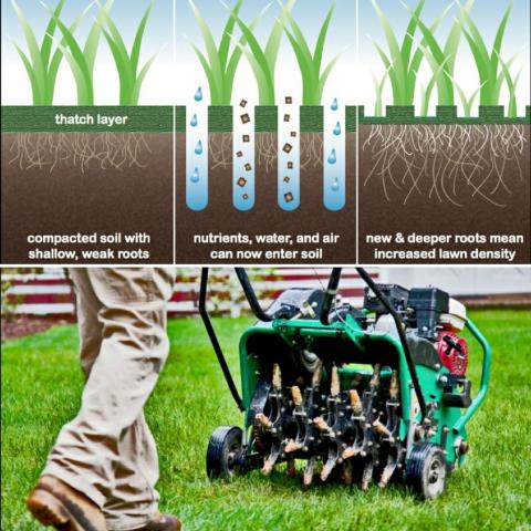 Lawn Installation & Repair | Steel City Landscape, Inc.