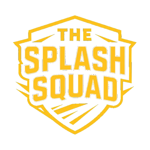 Mr. Splash Car Wash - Summer Car Cleaning Tips