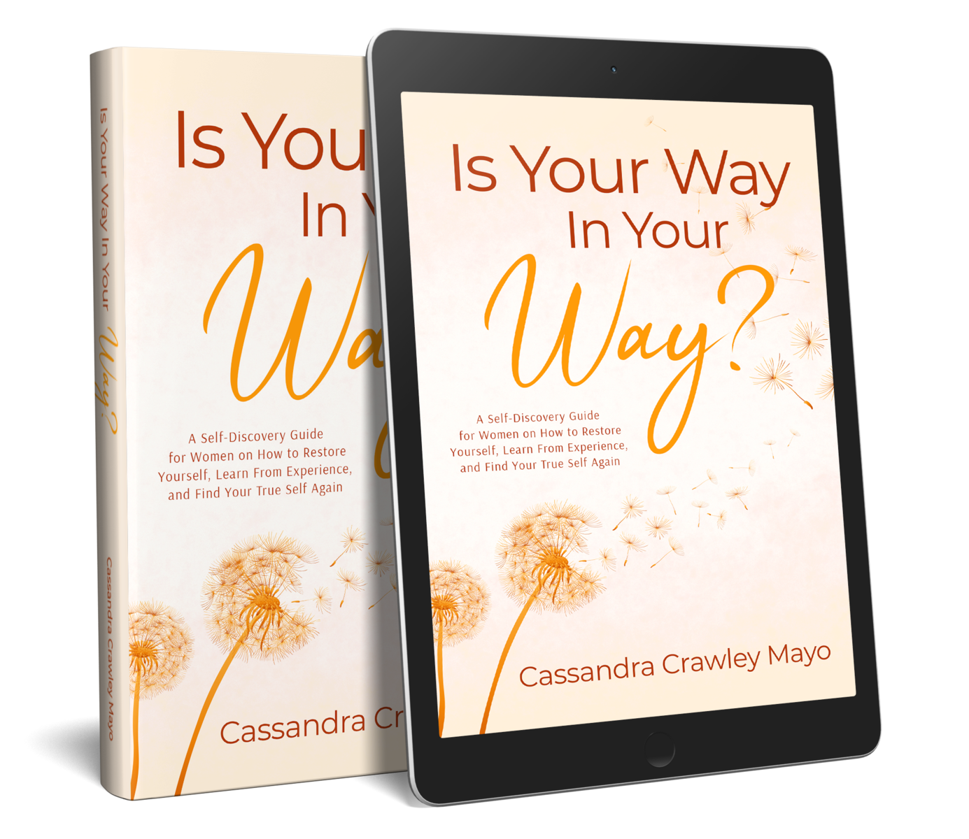 Is Your Way In Your Way Book