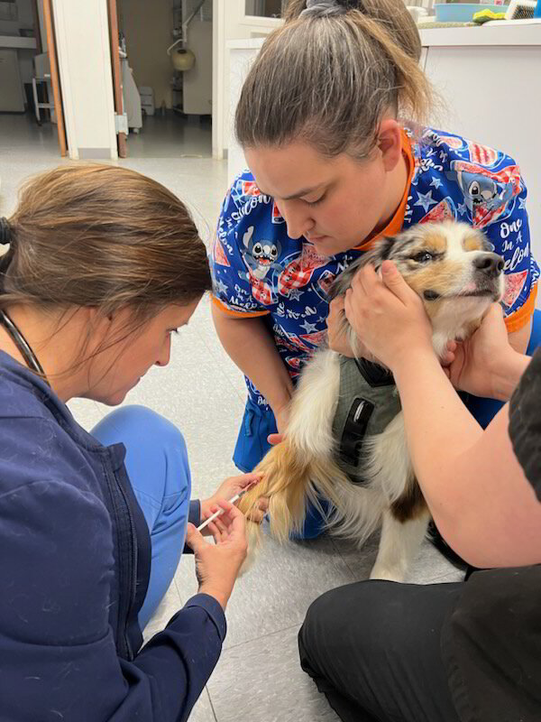 Omaha Animal Medical Group - Meet Our Staff and Owners