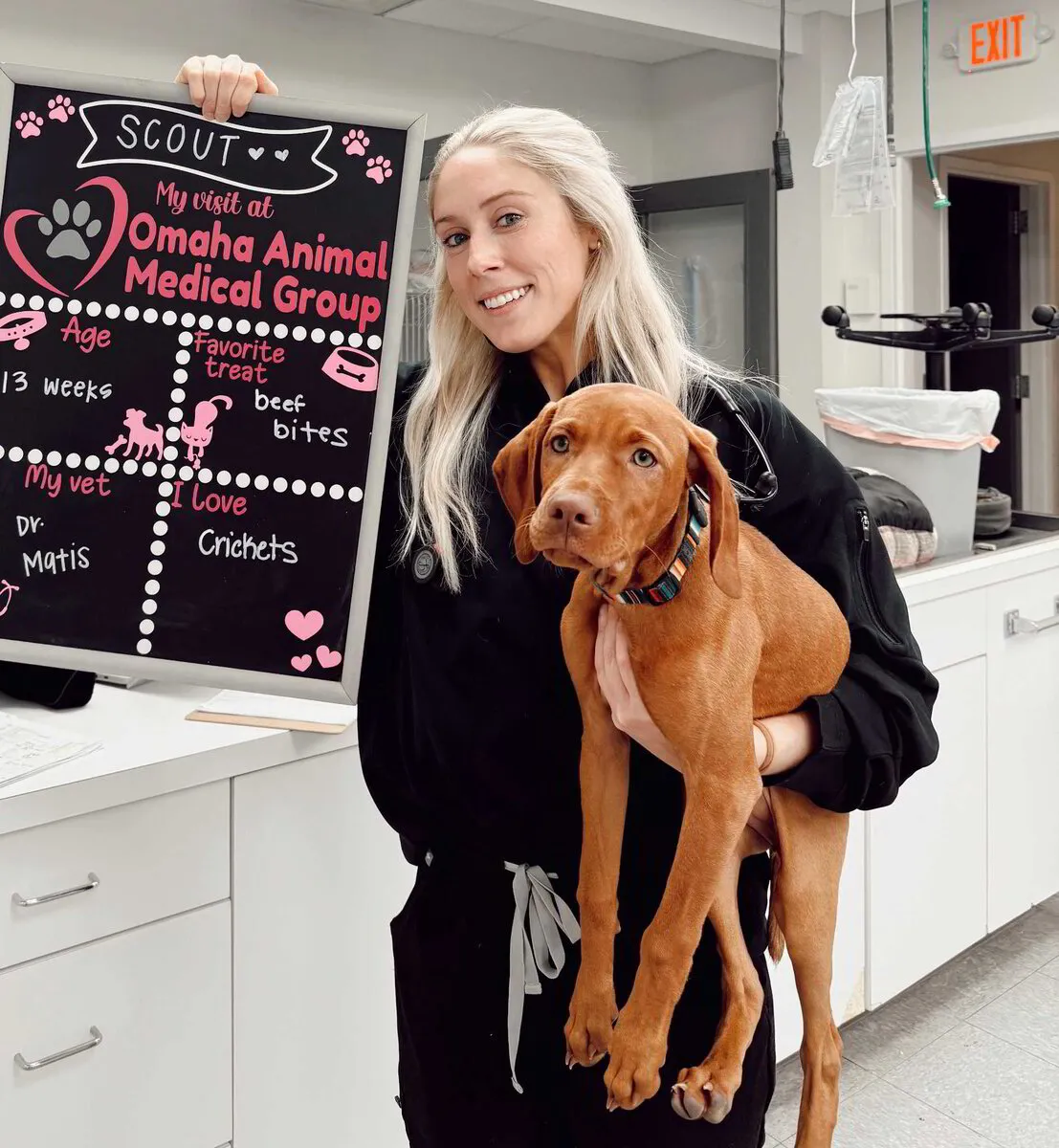 Omaha Animal Medical Group - Meet Our Staff and Owners