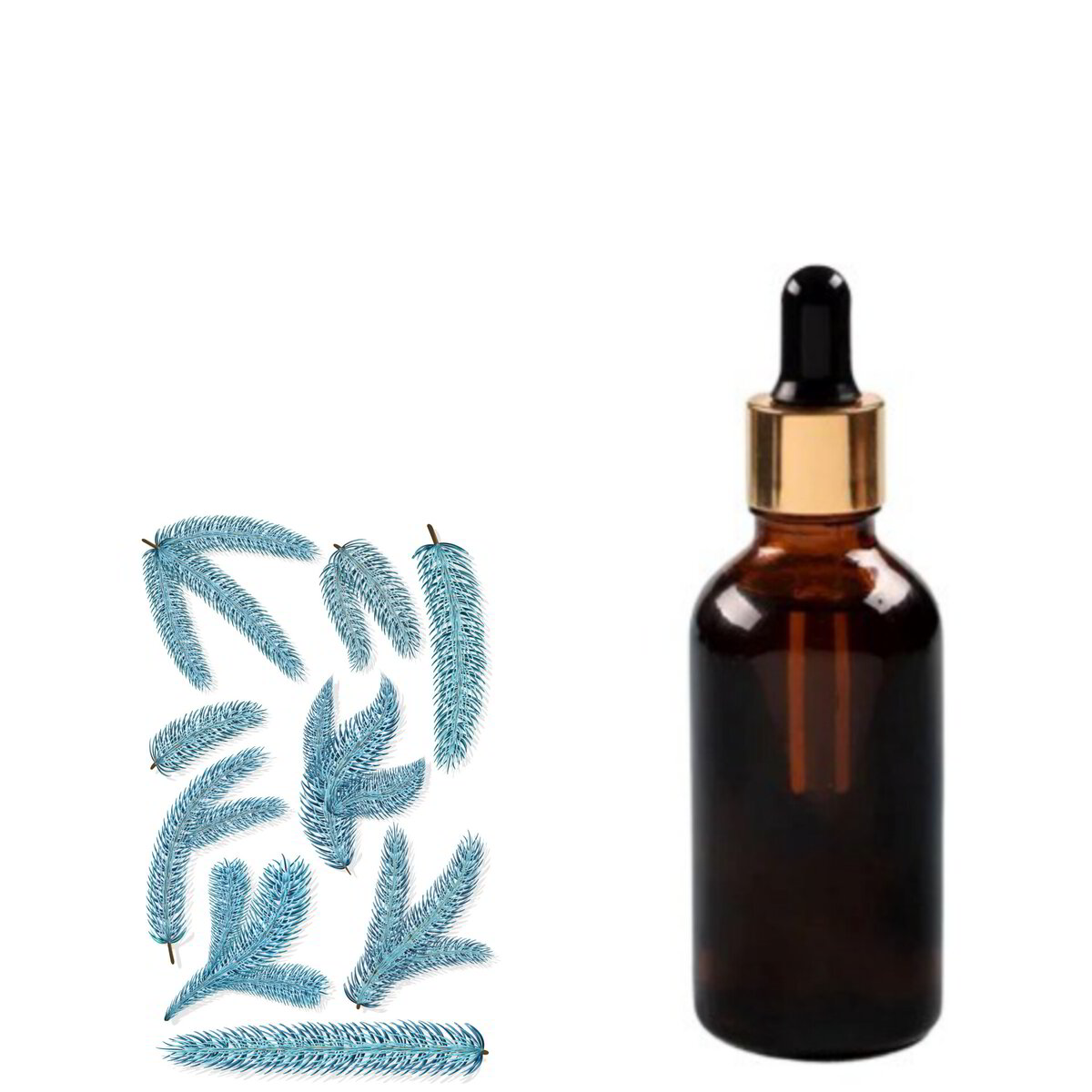 Blue Spruce Essential Oil