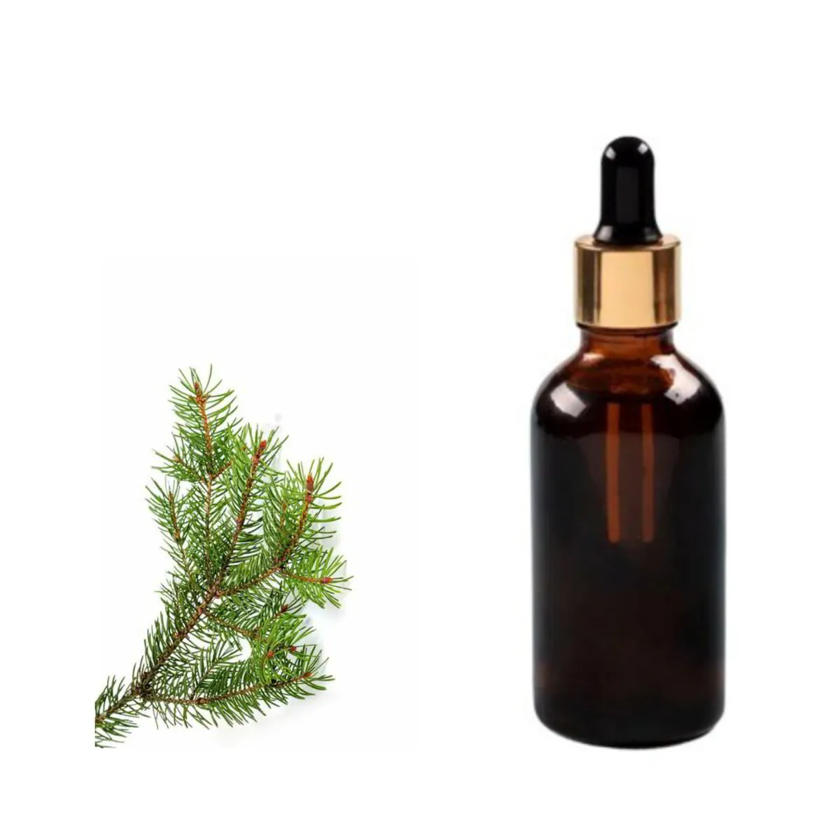 Spruce Essential Oil