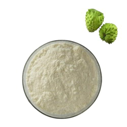 Soursop Fruit Powder