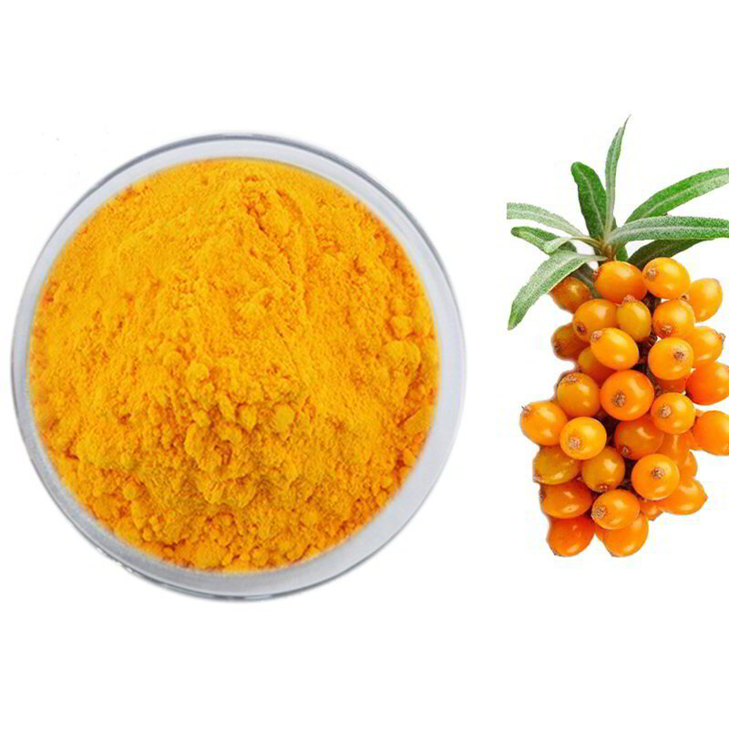 Sea Buckthorn Fruit Powder