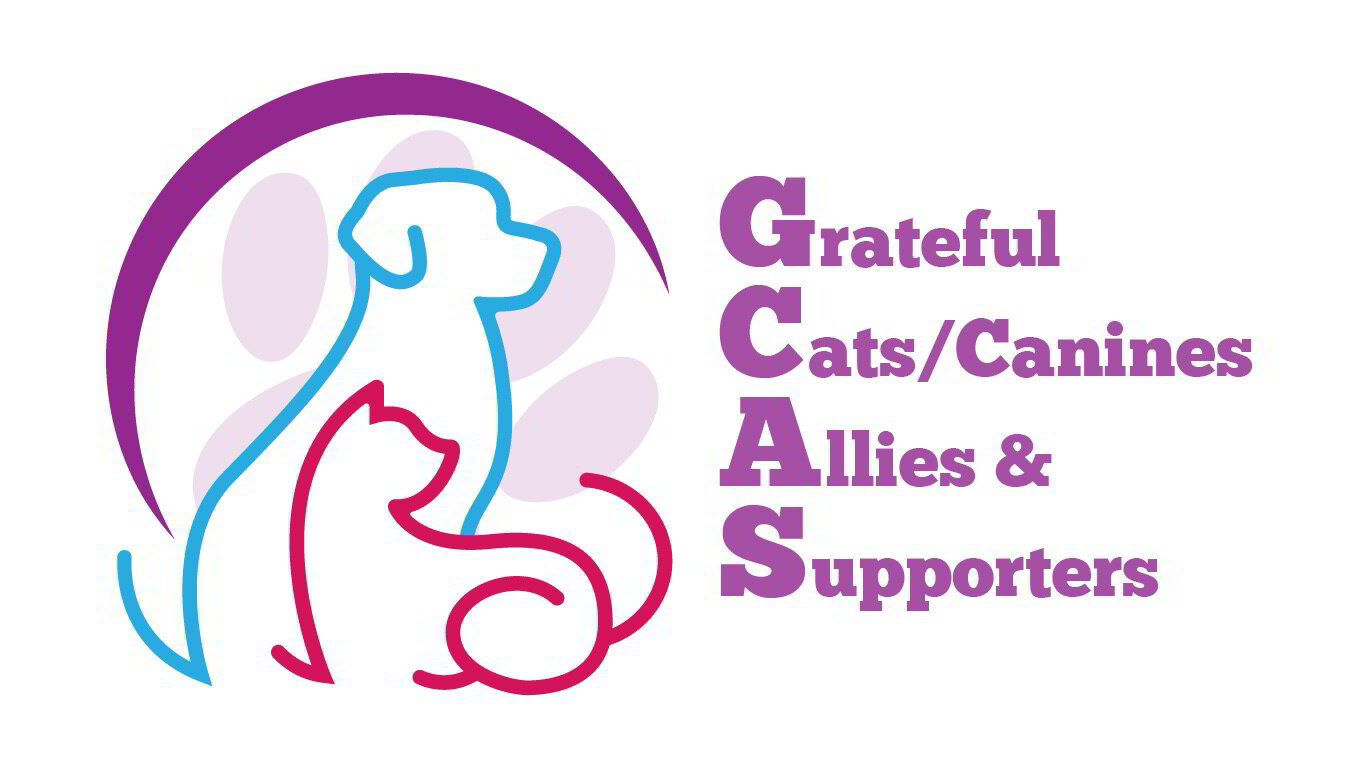 GCAS Fundraiser | FoamWorks Auto Wash