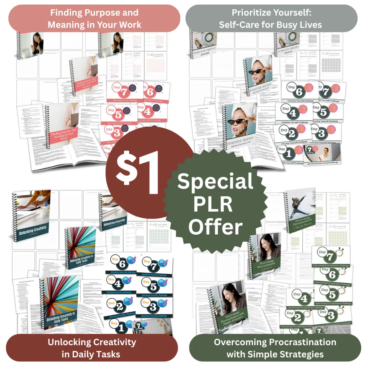 Congratulations! Here's Your FREE PLR Course