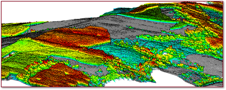 Terrasolid Forest Solution Presentation