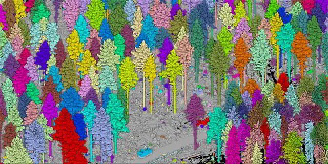 Trunk Volumes using TerraScan