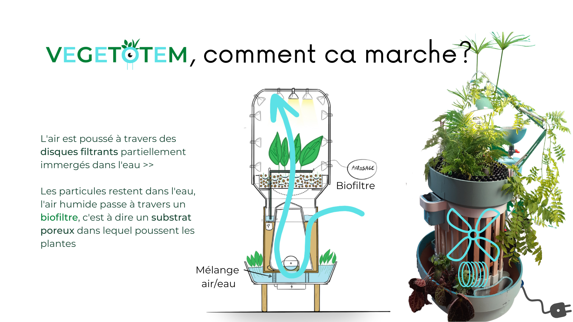 Nature +Tech | Vegetotem