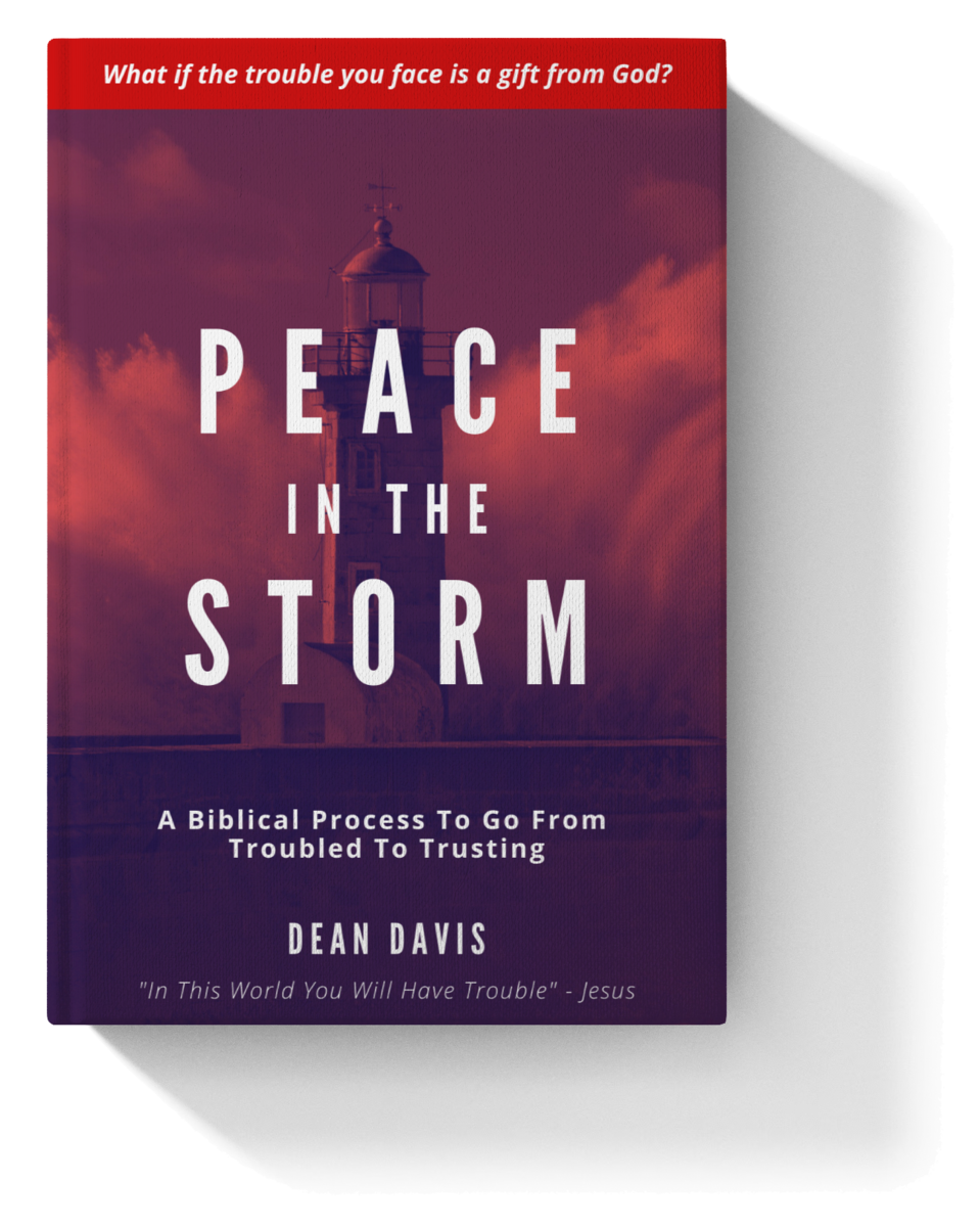 Peace In The Storm Book