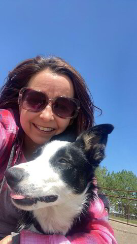 Home [doreriverbordercollies.com]