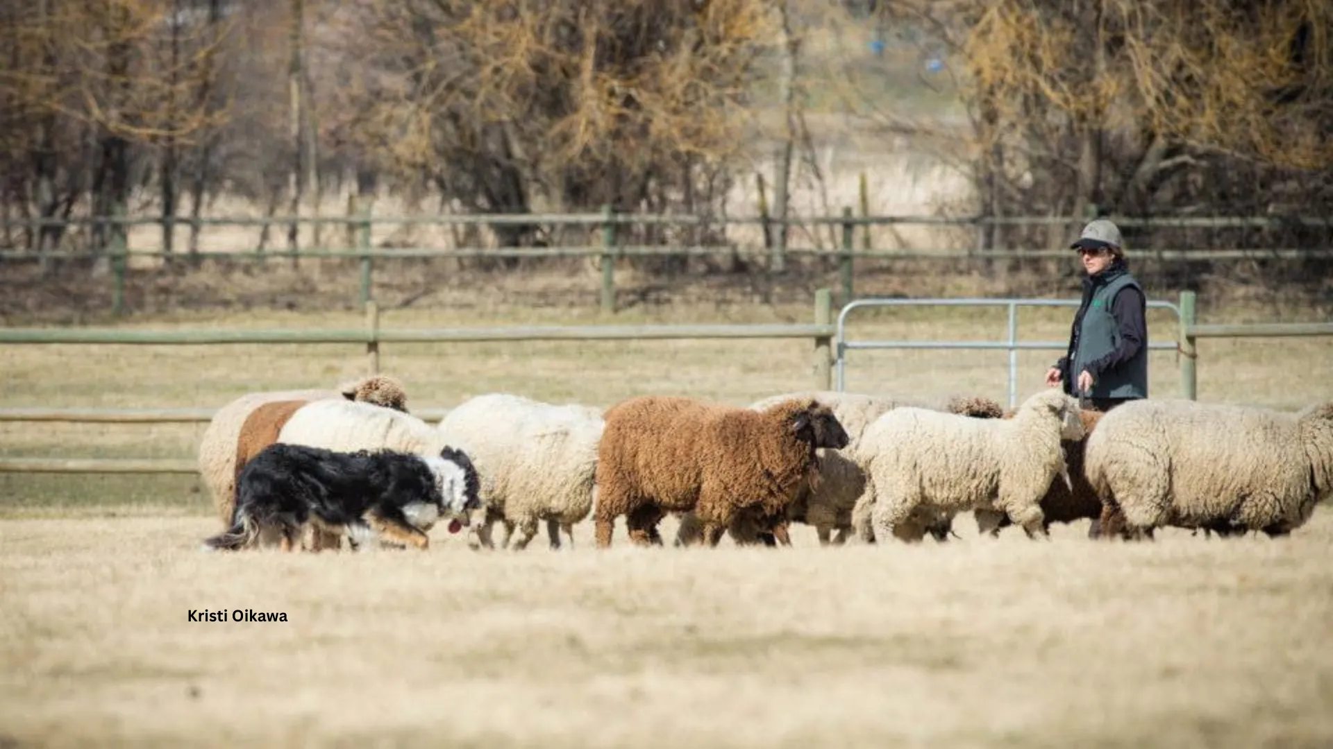 Things are not always what they seem: Understanding the Layers to Stock ...