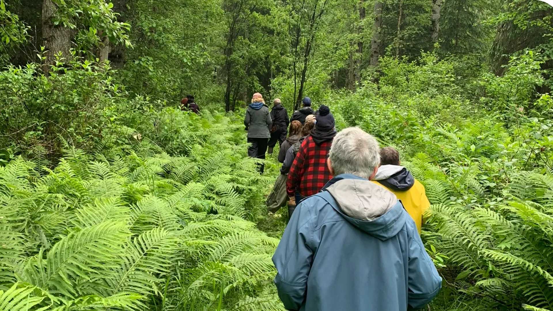 Highlights from Our First Dore River Academy Stock Dog Bootcamp Retreat