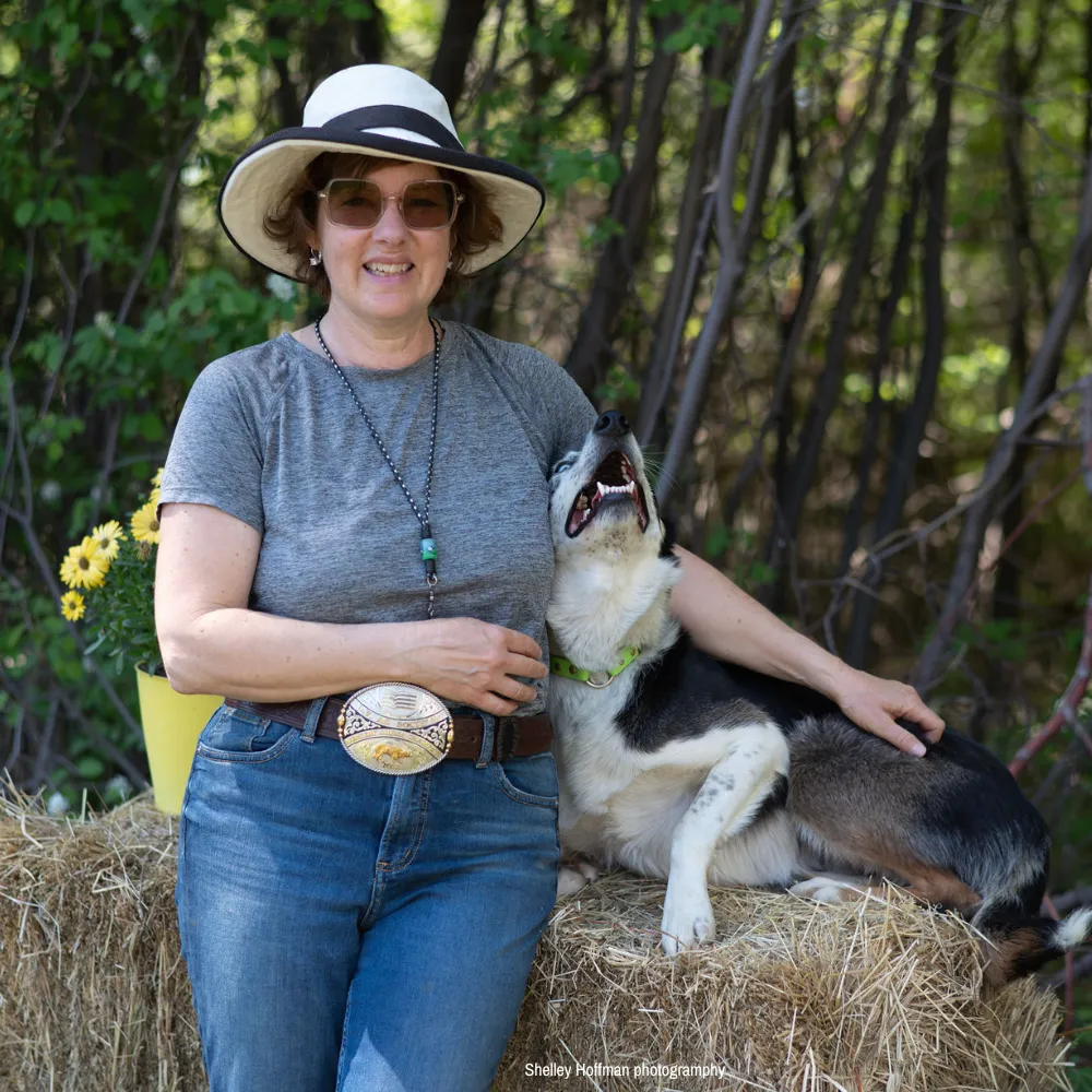 Stock Dog Training | Free 5-Day Challenge | Dore River Border Collies