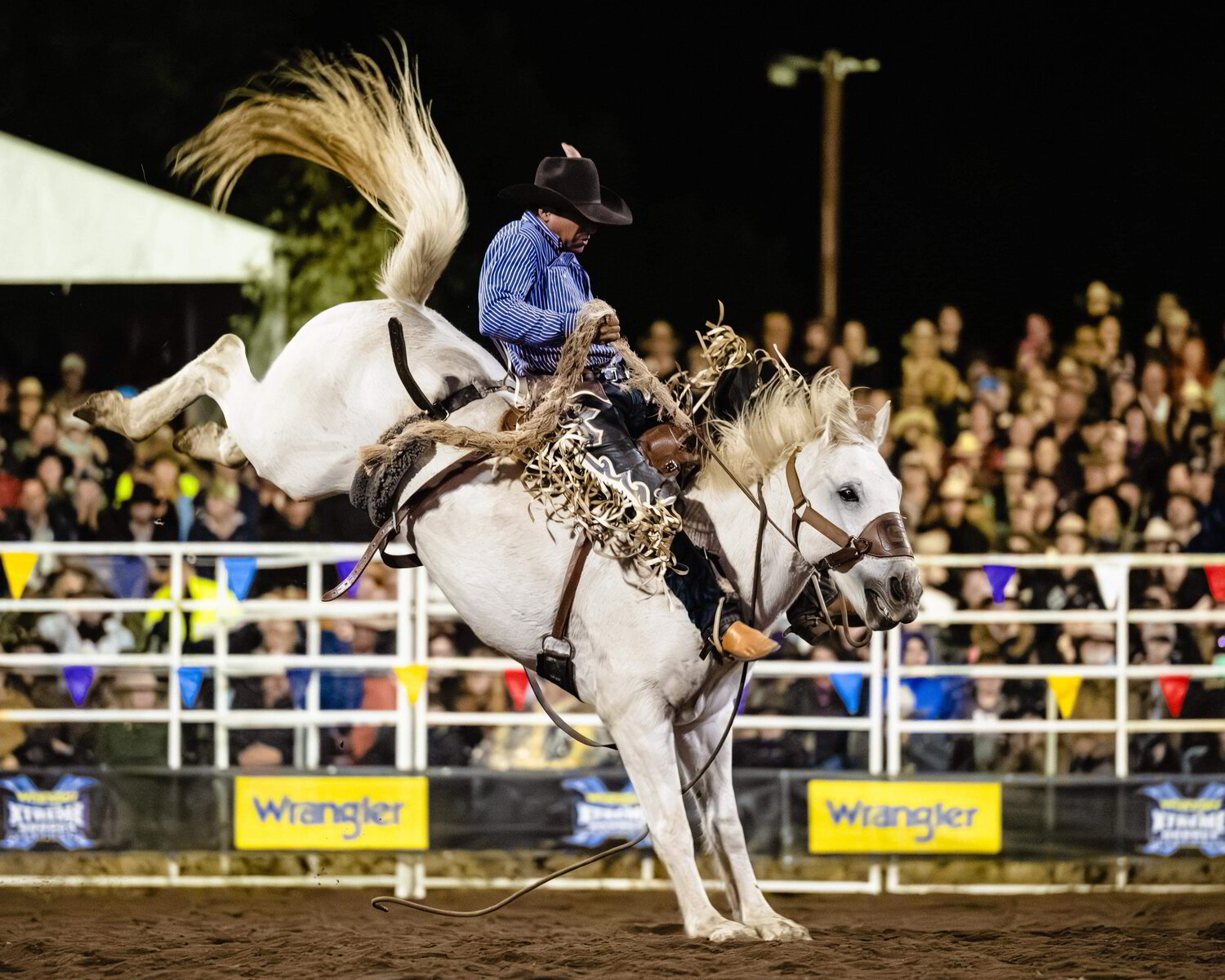 XTREME BRONCS