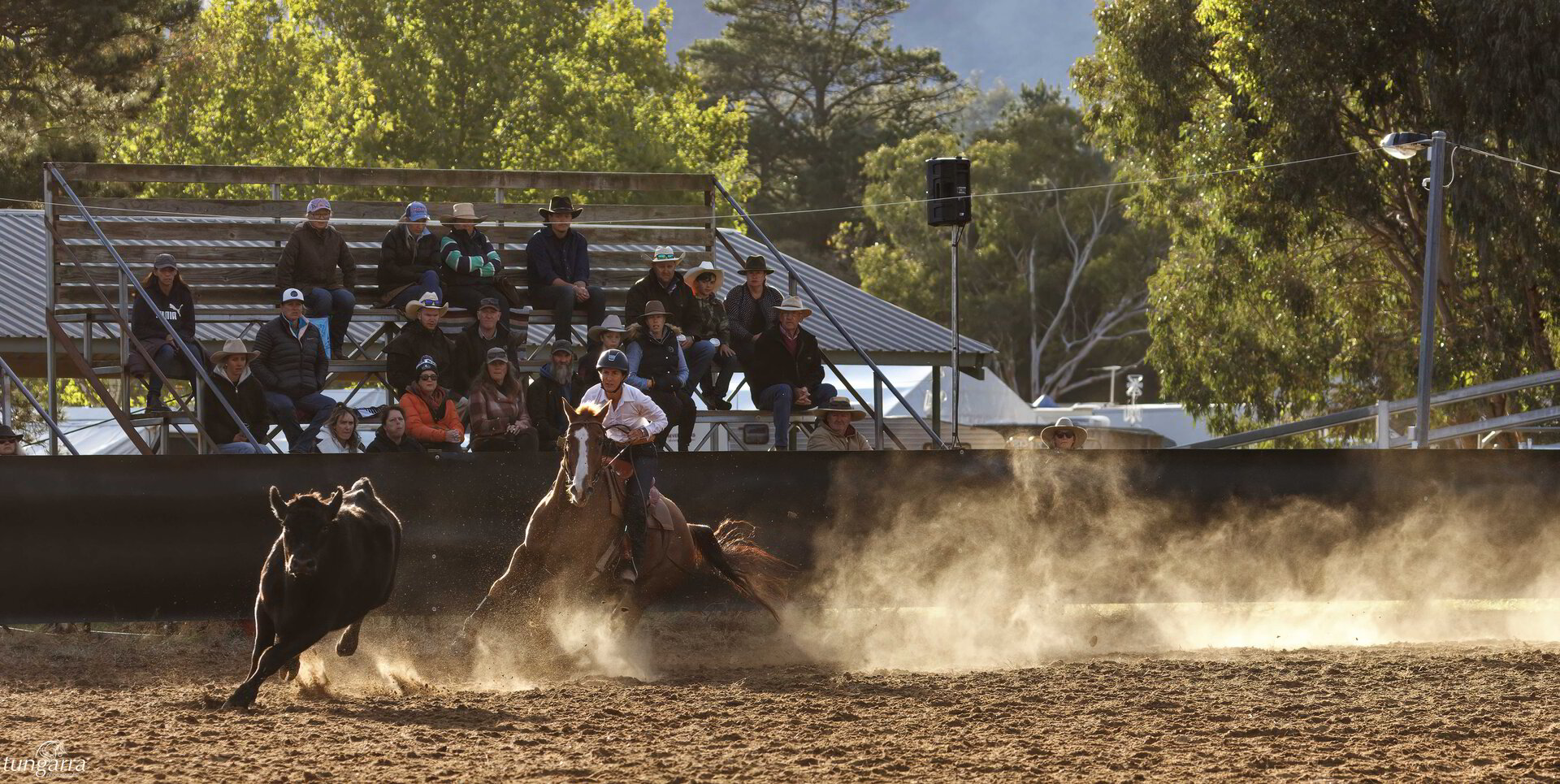 FEATURE OPEN CAMPDRAFT