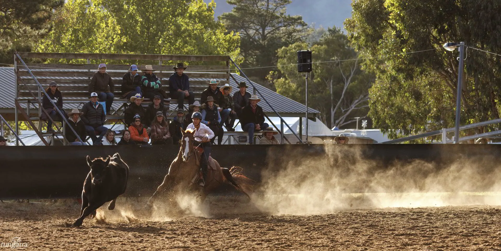 FEATURE OPEN CAMPDRAFT