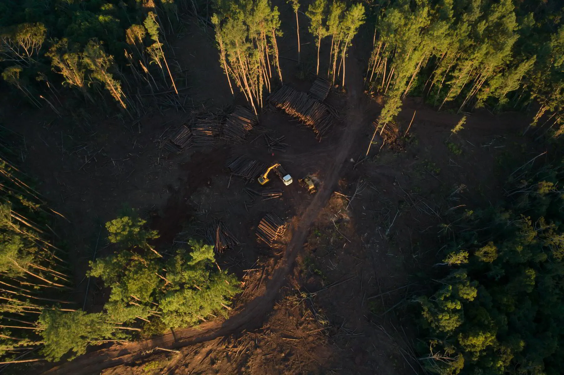 Sustainability | Tropik Wood Industries