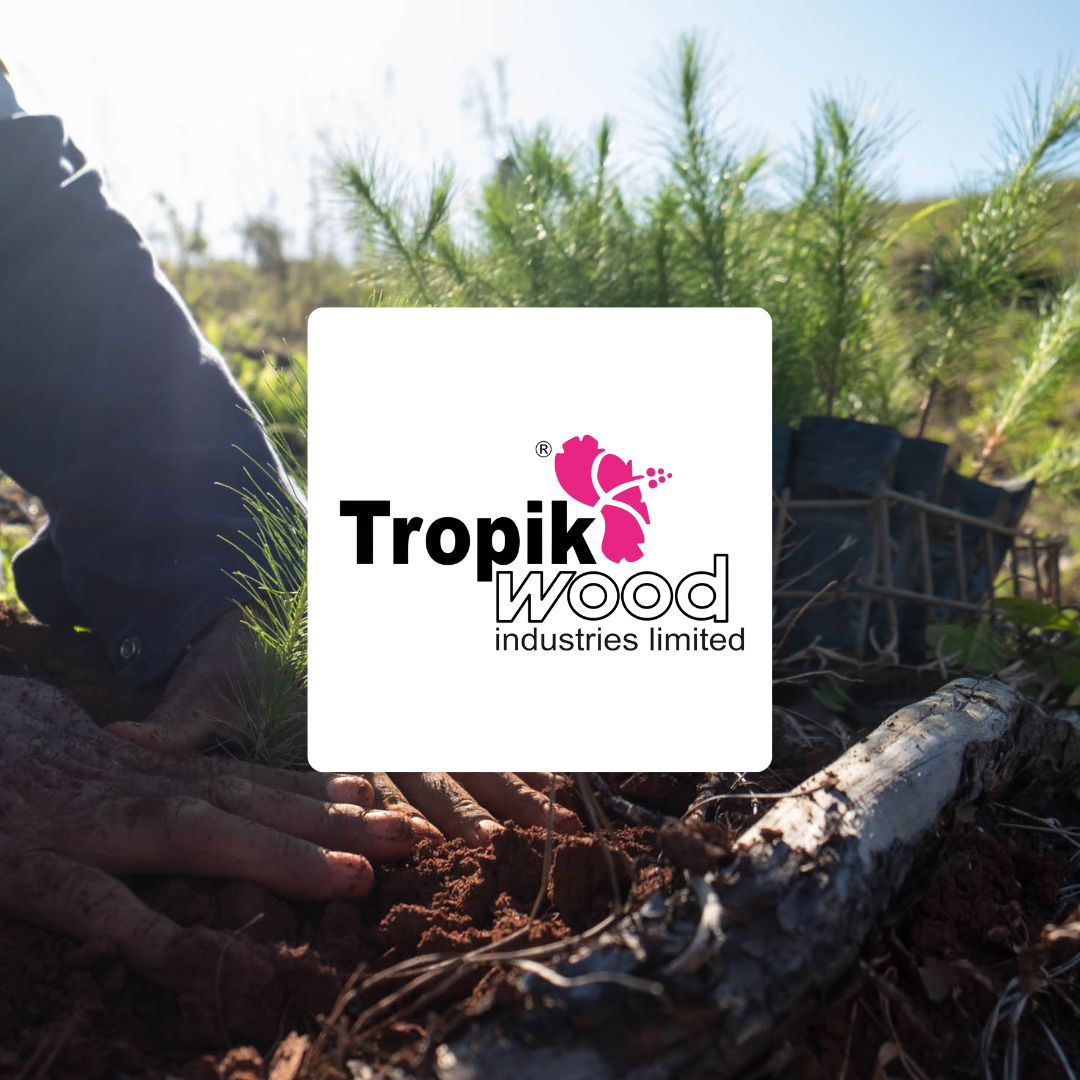 Our Board | Tropik Wood Industries