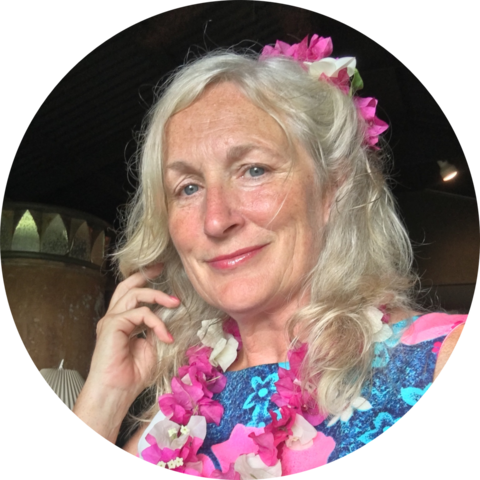 The Official Site of singer songwriter Howie Campbell