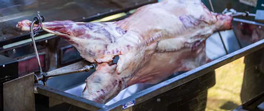 Your Guide To Becoming A Spit Braai King