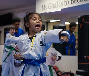 Martial Arts in Dublin | Korea Taekwondo - KTKD