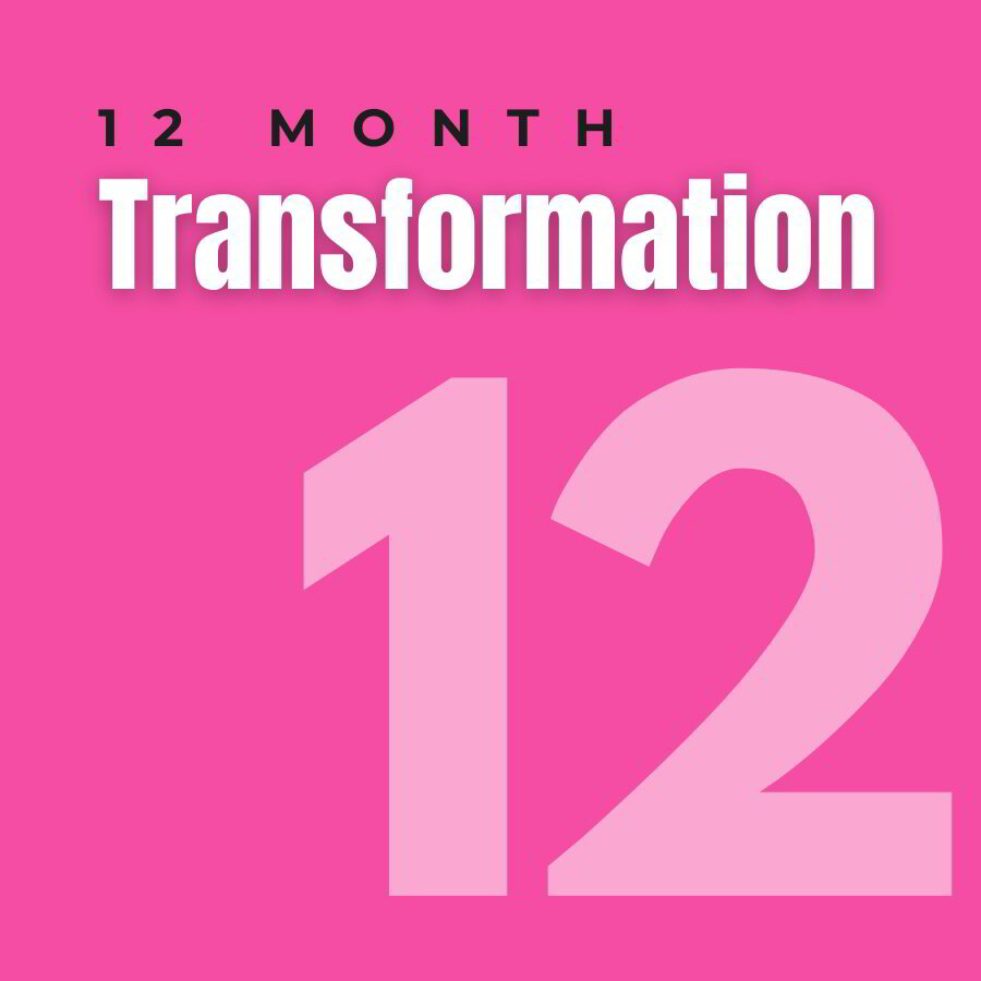 12 Month Transformation (1 payment)
