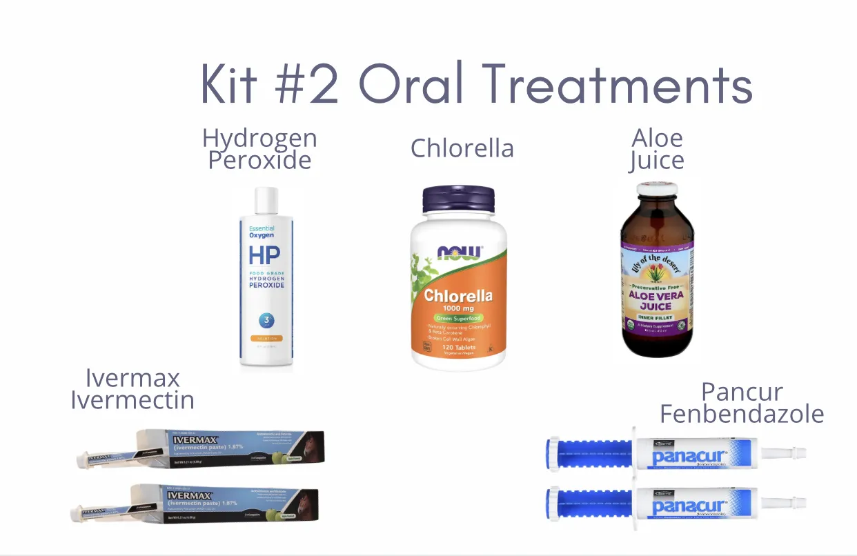 Parasite Protocol WK Access