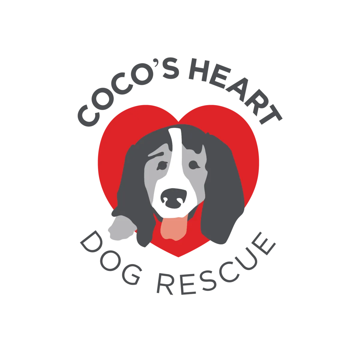 Regal Auto Wash - Coco's Heart Dog Rescue Fundraiser