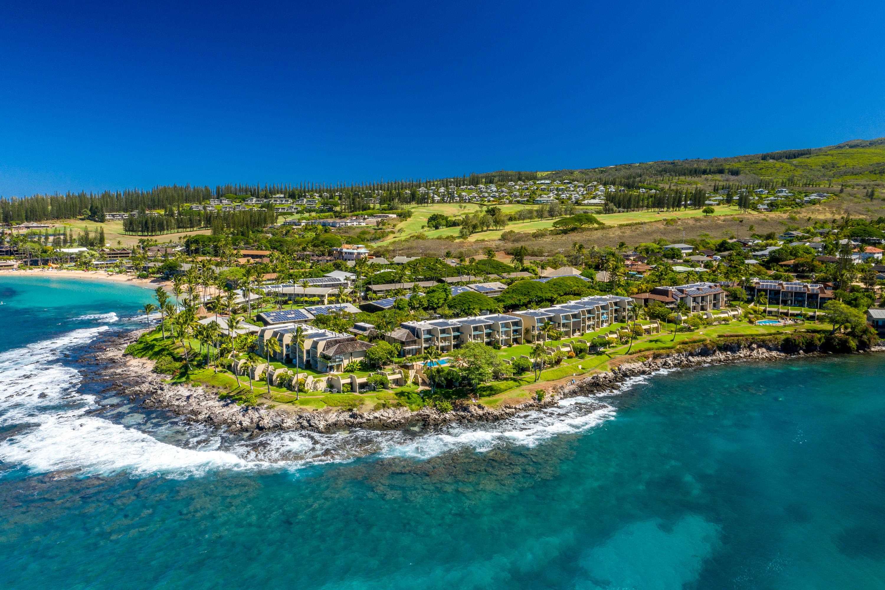 Popular Attractions in Napili Bay