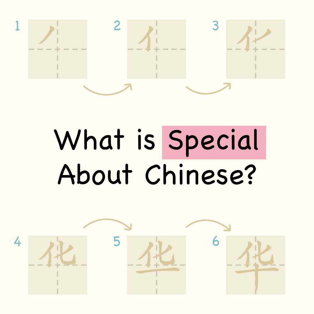 What Is Special About Chinese?