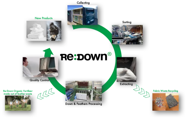 Verwant Solutions