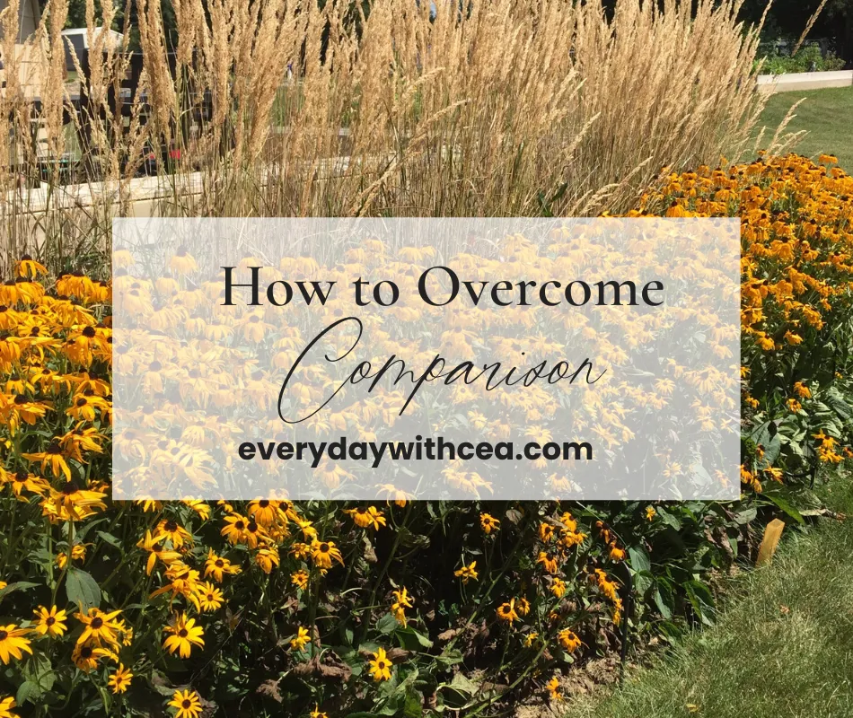 How to Overcome Comparison