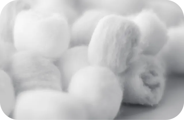 Home [pmicotton.com]